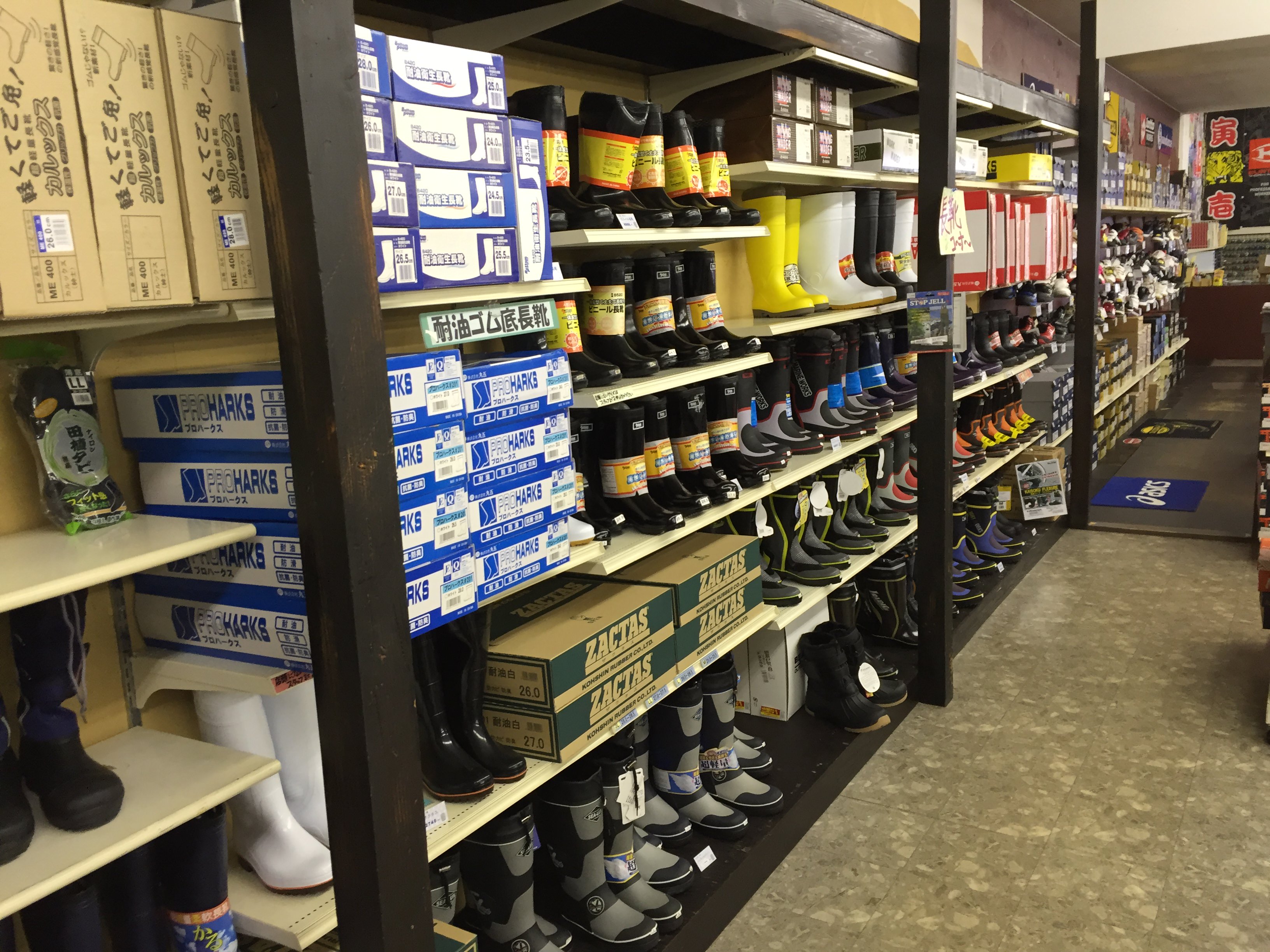 %e3%83%90%e3%83%bc%e3%83%89%e3%82%a6%e3%82%a9%e3%83%83%e3%83%81%e3%83 ...